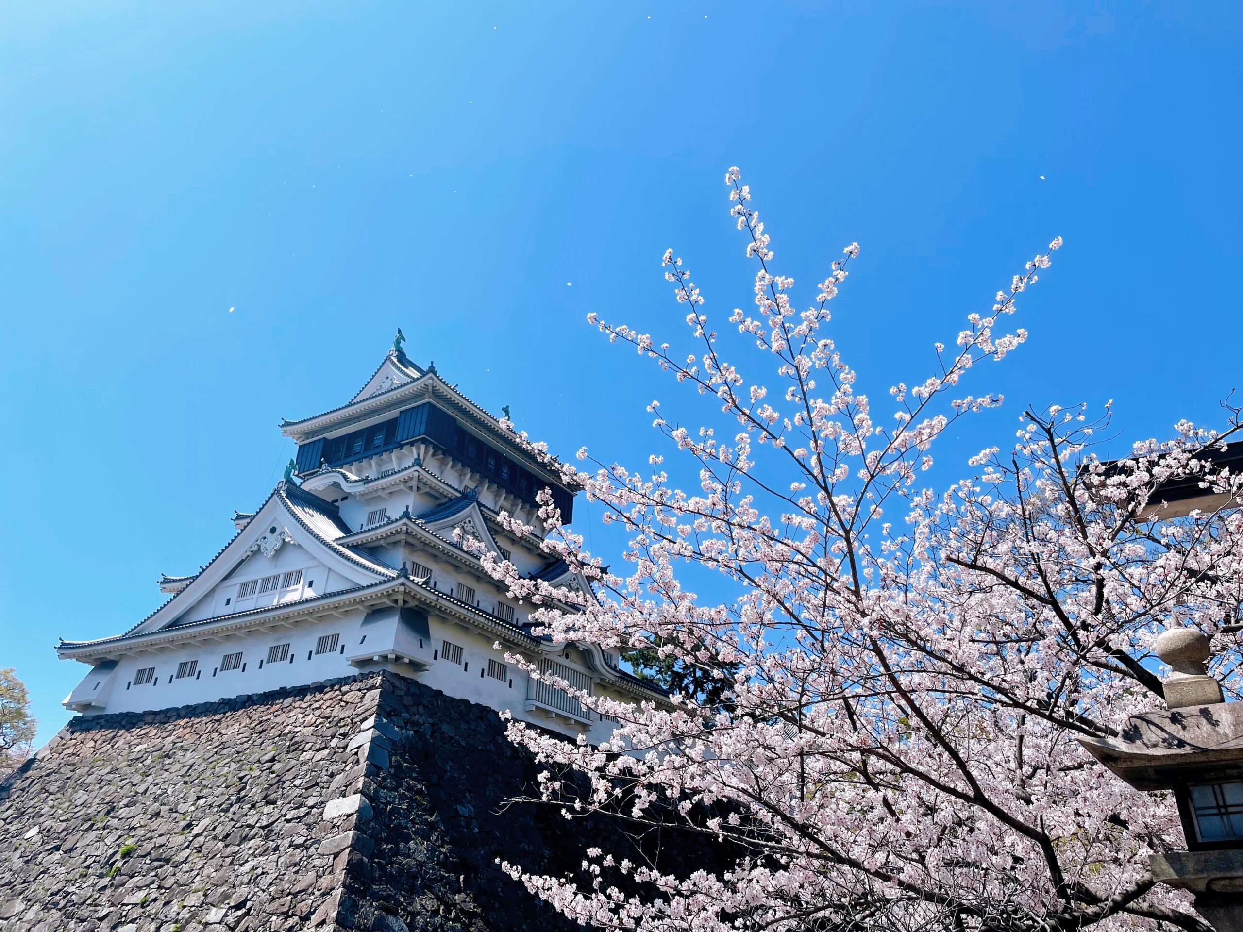 春の弾丸福岡旅行sanalog