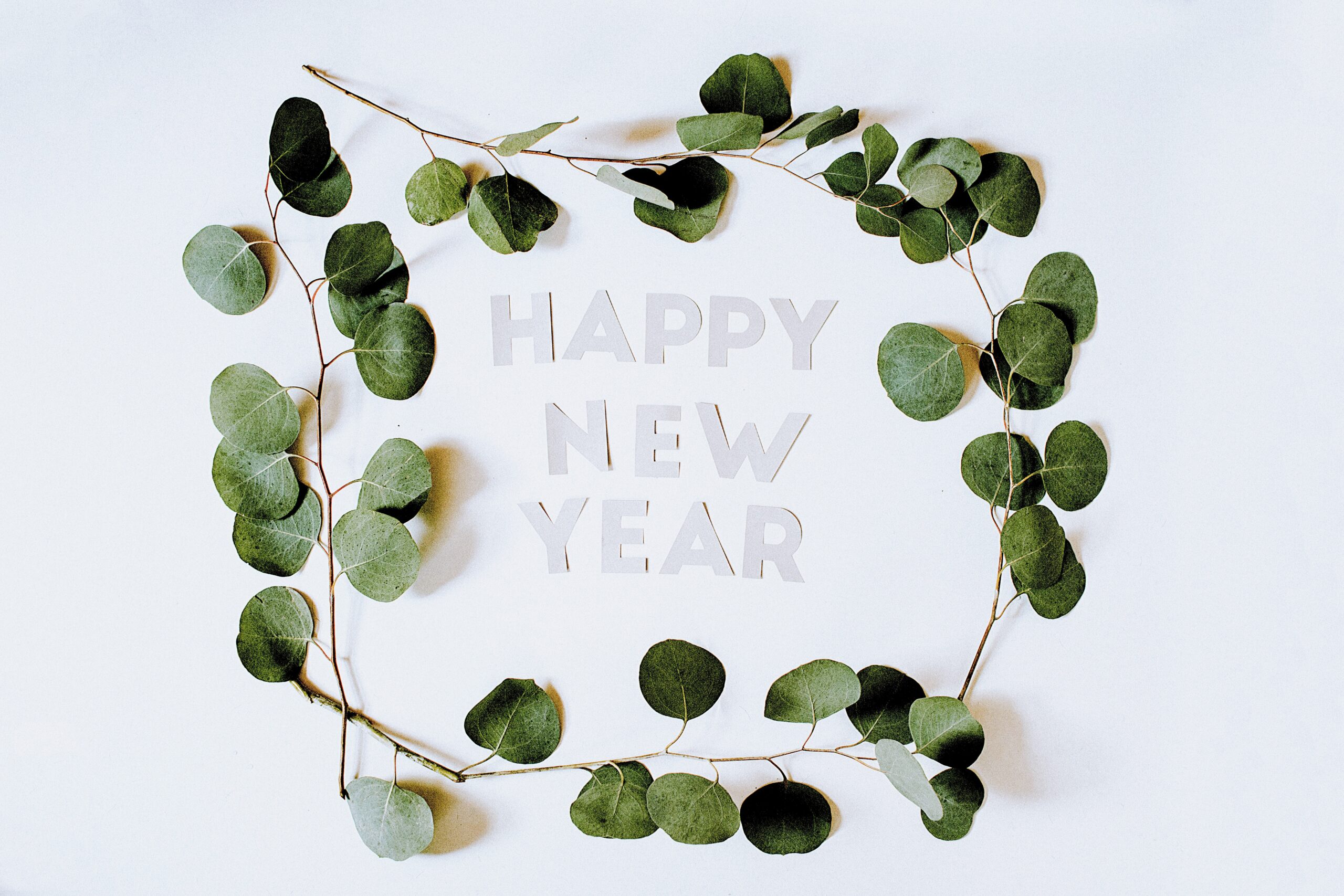 【2023年の運勢】星の流れのハイライトや一年の雰囲気sanalog